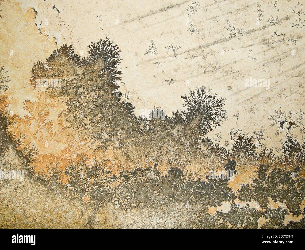 Orange and gray dendrites on light rock, skeletal crystals with fine ...