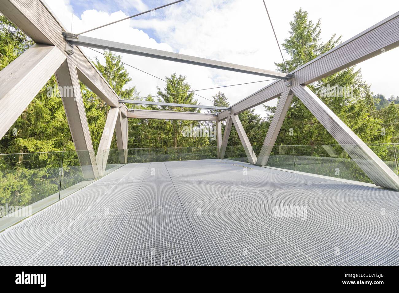 Viewing platform with metal mesh floor and wooden structure, surrounded ...