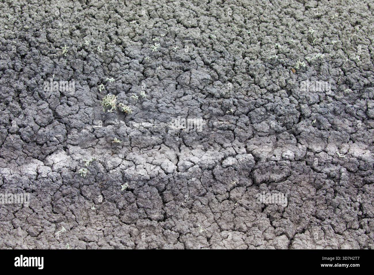 Iridium layer marking the Cretaceous–Paleogene (K-Pg) boundary shows as ...