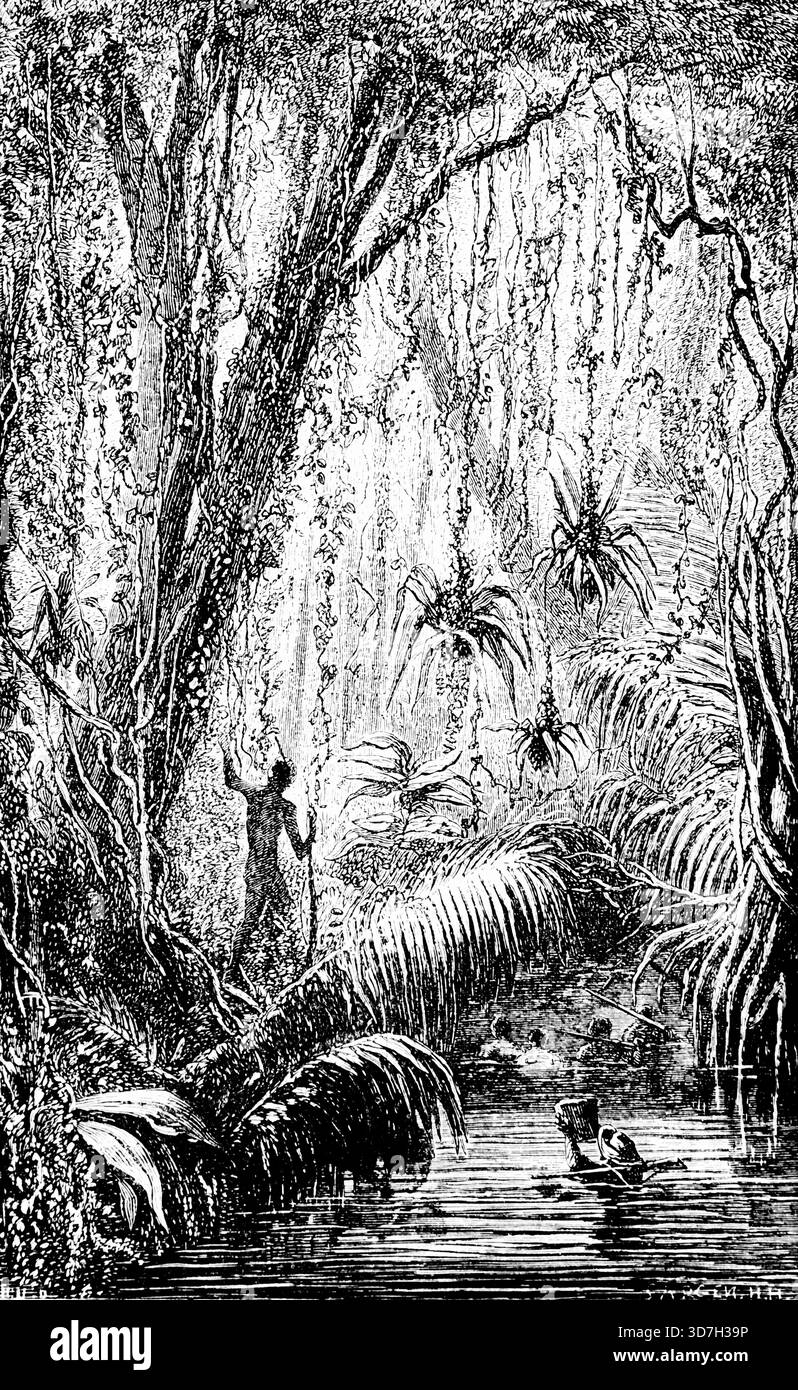 Tropical climate brazilian Black and White Stock Photos & Images - Alamy