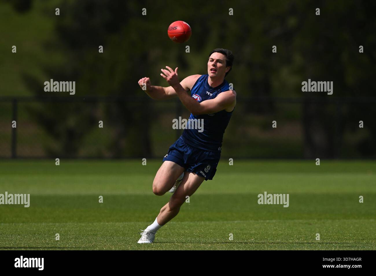Oliver Henry of Geelong hand balls the footy during a Geelong Cats AFL ...