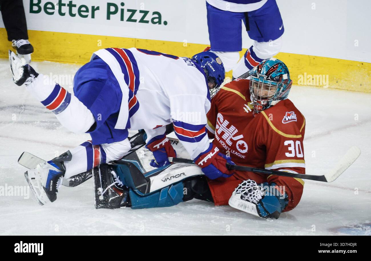 Team USA's Dayne Beuker, left, crashes into Team CHL's goalie Harrison ...