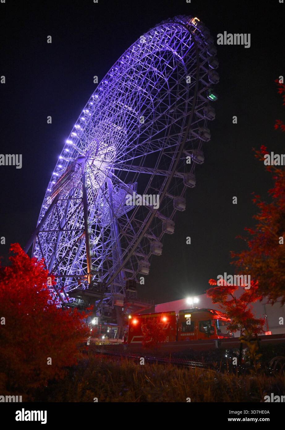 Photo taken in the early hours of Nov. 26, 2025, shows a giant Ferris wheel at the Expocity ...