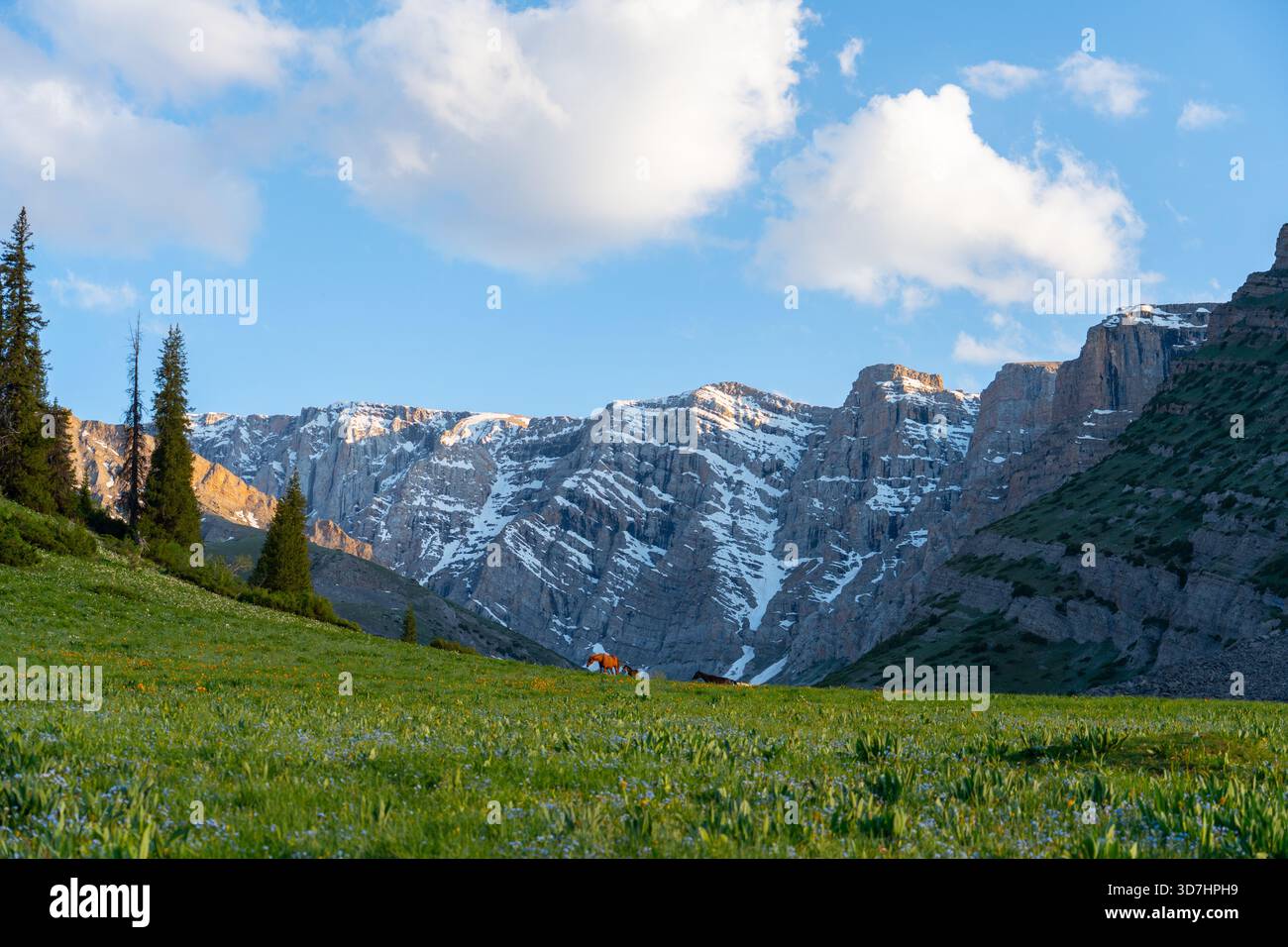 Meadow landscape low angle tent hi-res stock photography and images - Alamy