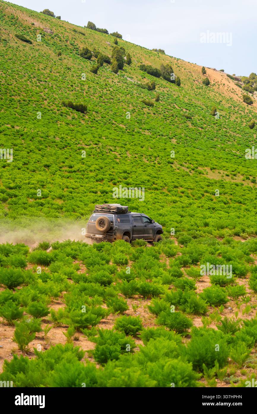Vertical shot driving trail hi-res stock photography and images - Alamy