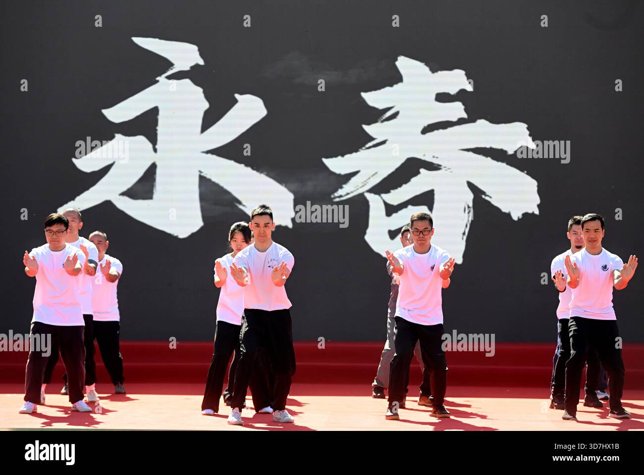 Yongchun,China.24th November 2025. The 2025 Yongchun White Crane Kungfu ...