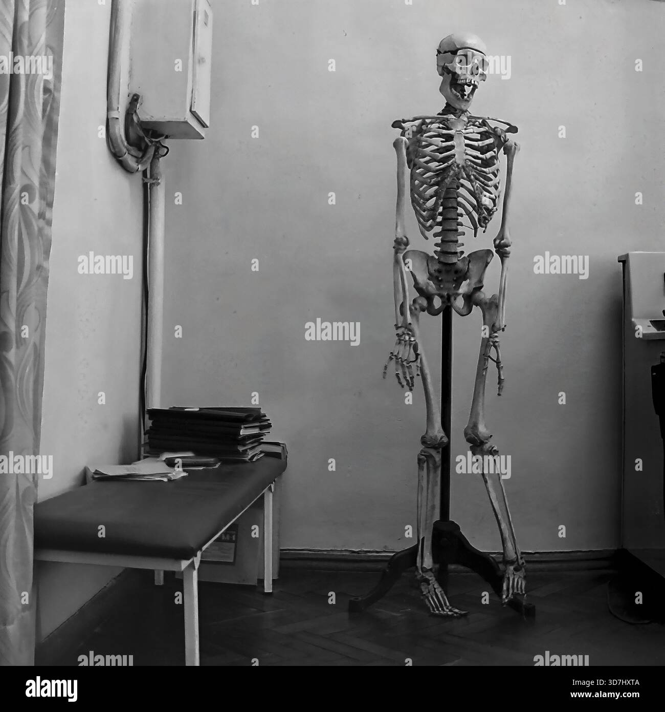 A historical photograph from the 1970-80s, showing an anatomical model ...