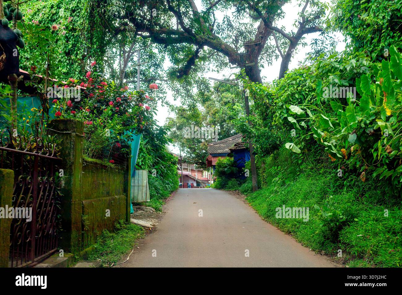 Beautiful view of rural village roads in South Goa, India Stock Photo ...