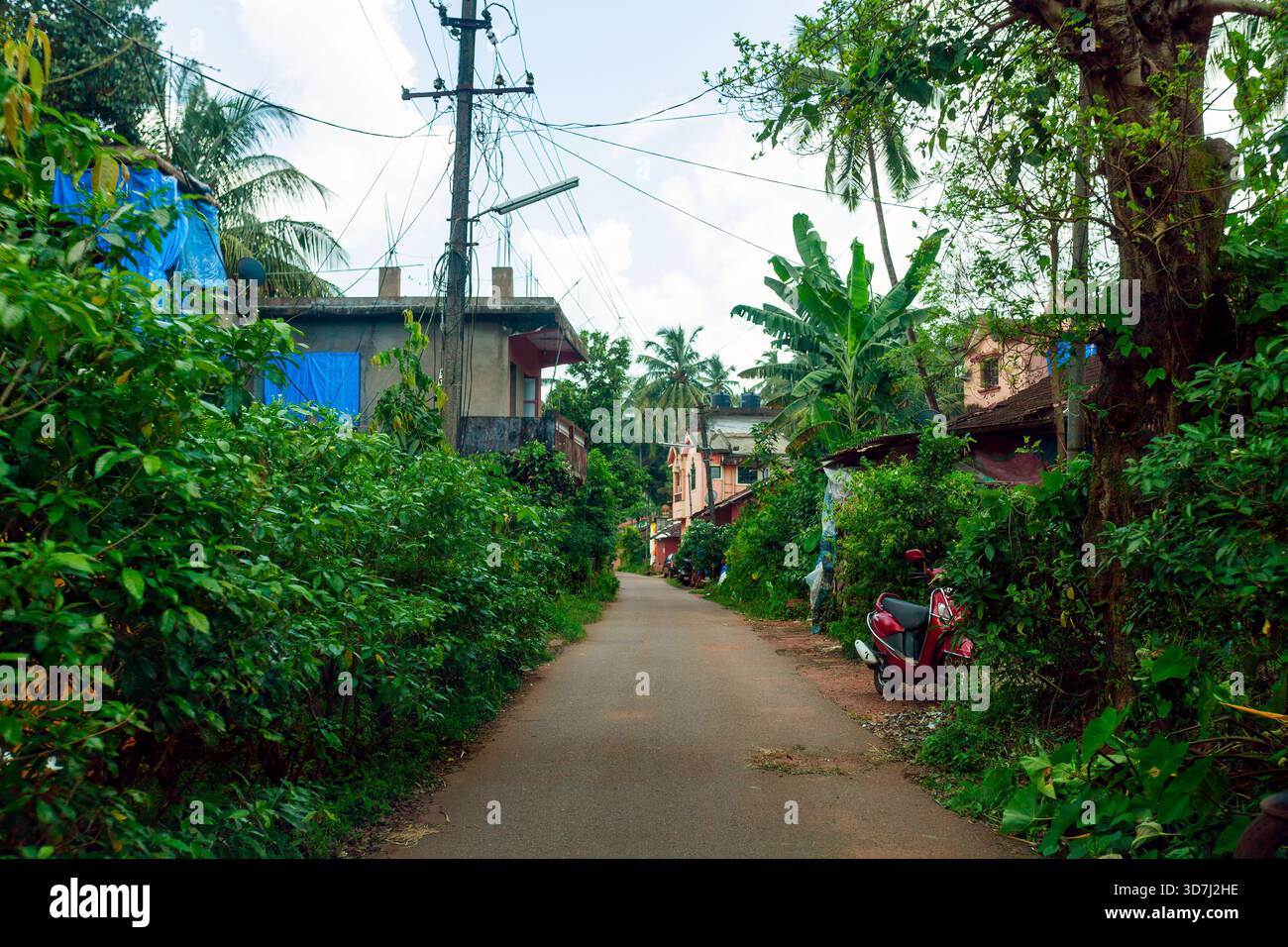 Beautiful view of rural village roads in South Goa, India Stock Photo ...