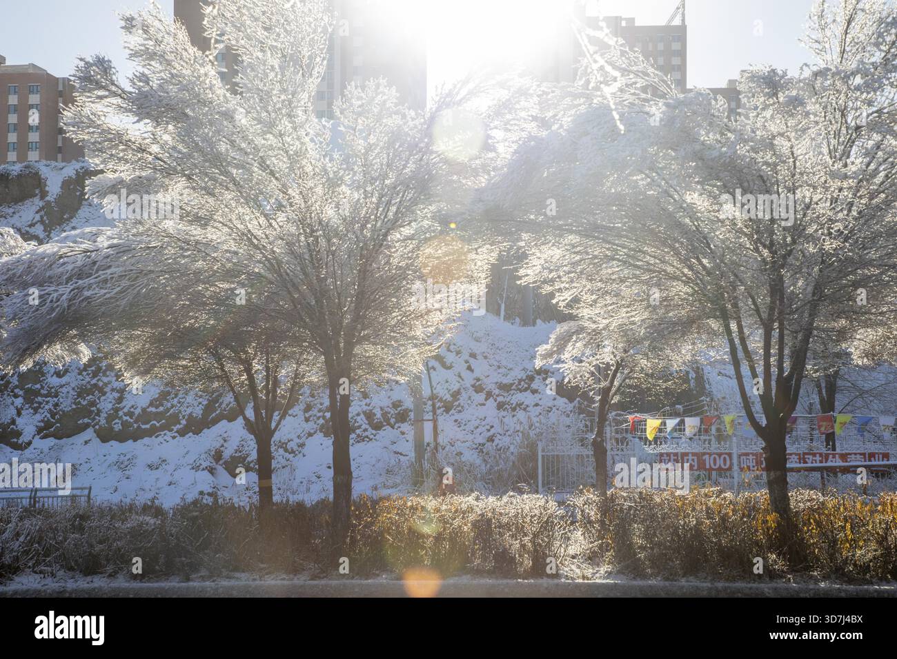 Snow scenery in Urumqi City, northwest China's Xinjiang Uygur ...
