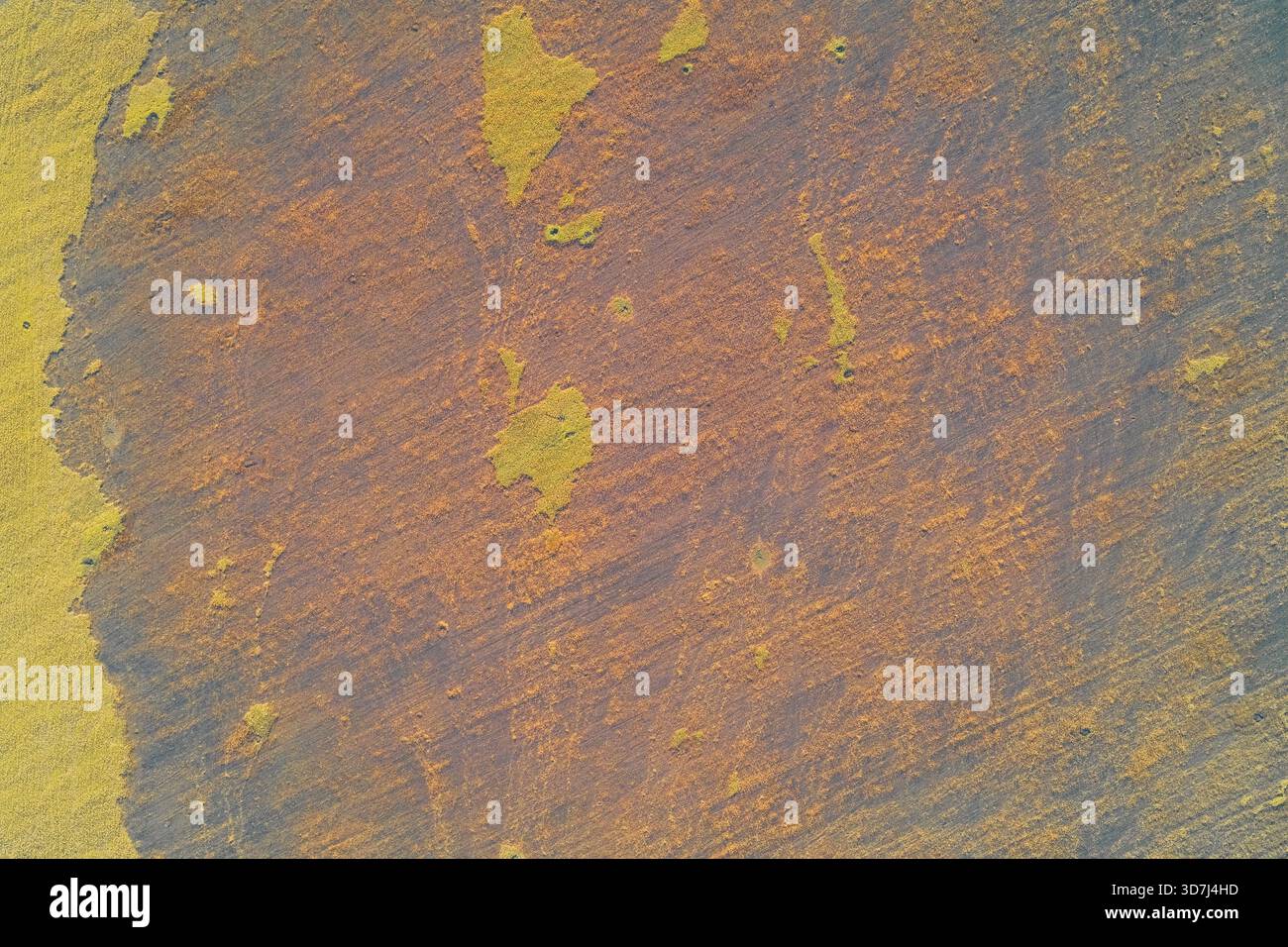 Mottled zone hi-res stock photography and images - Alamy