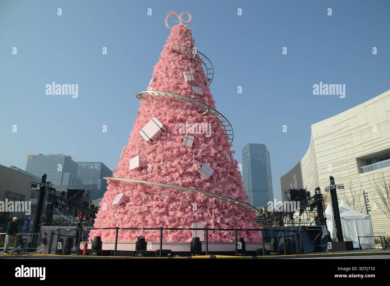 A giant pink christmas tree makes debut in Shanghai, China, 23 November ...