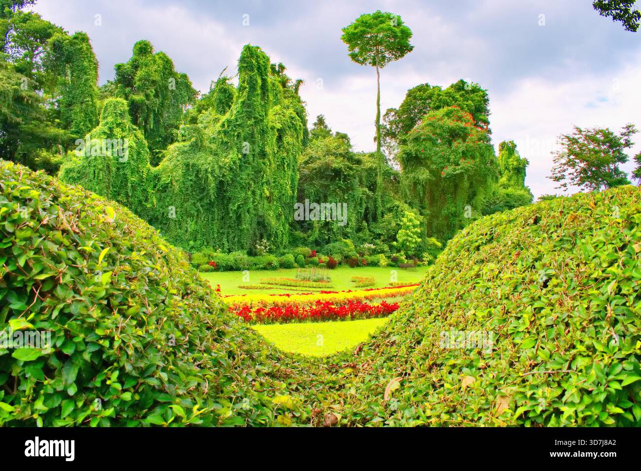 Royal Botanic Gardens, Peradeniya, Kandy, Sri Lanka Stock Photo - Alamy