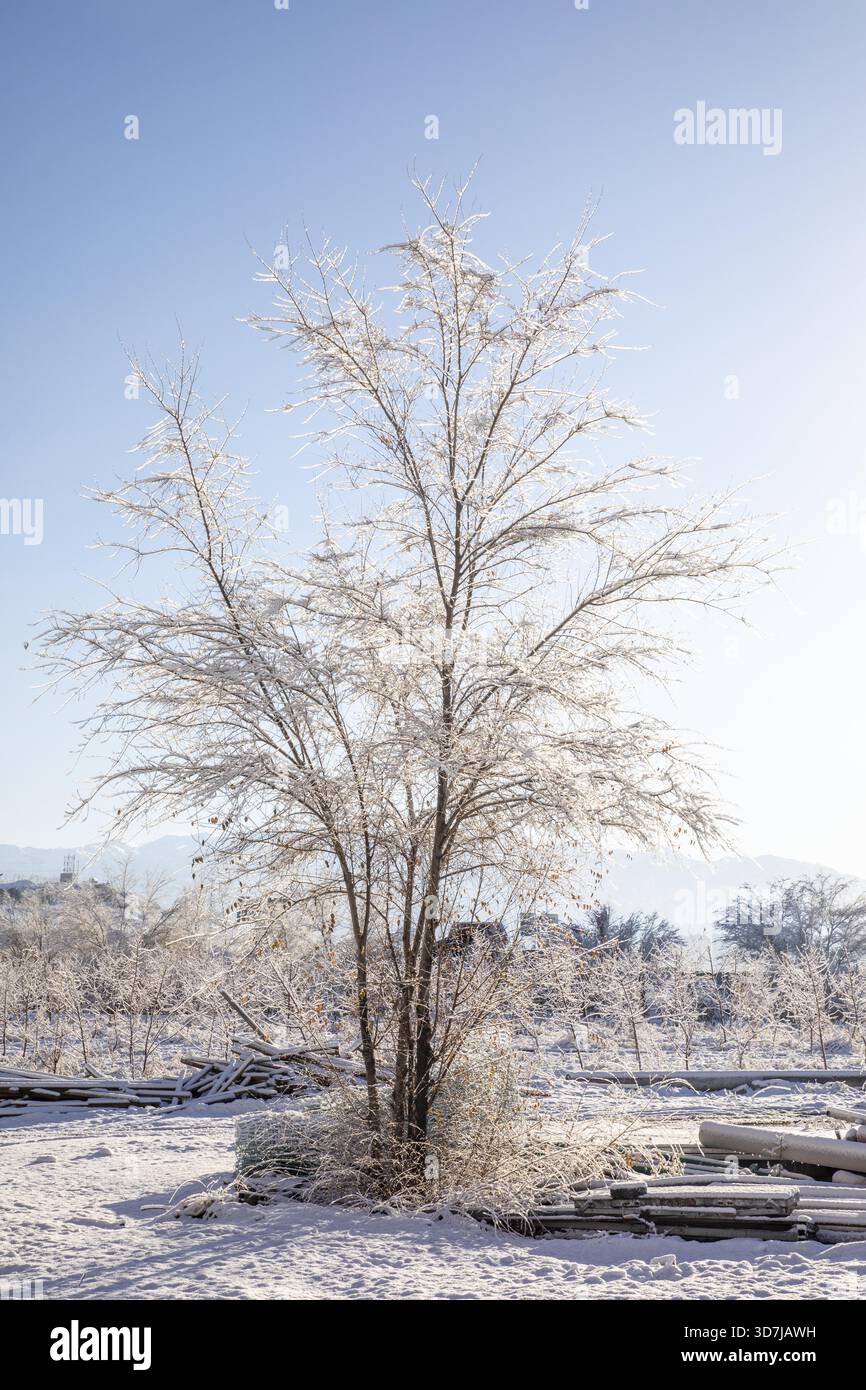 Snow scenery in Urumqi City, northwest China's Xinjiang Uygur ...