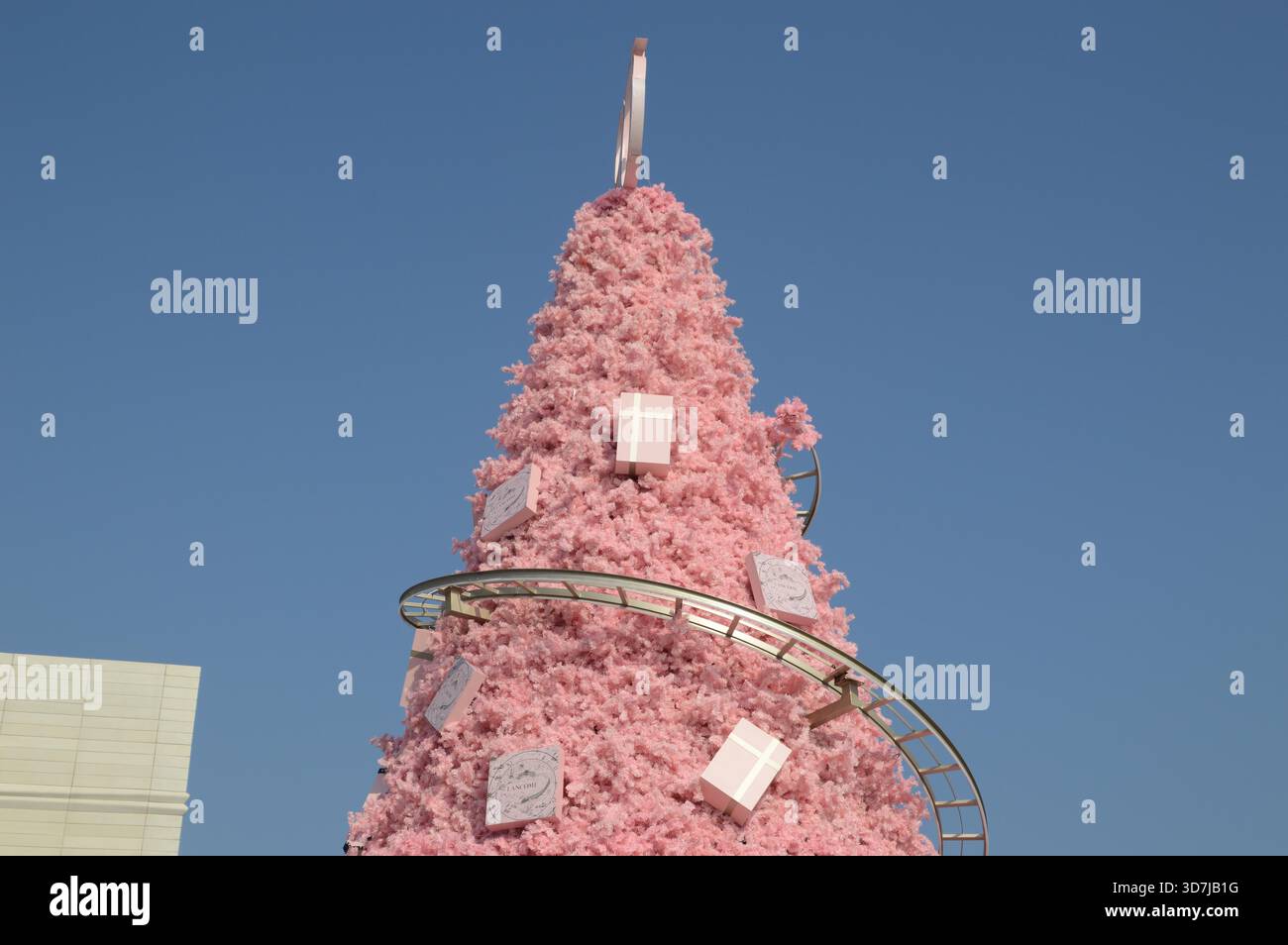 A giant pink christmas tree makes debut in Shanghai, China, 23 November ...