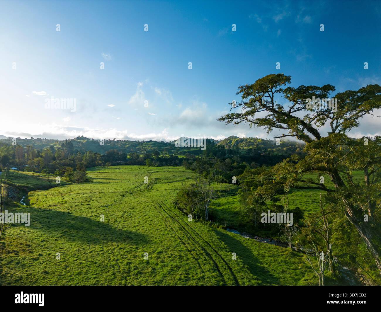 Aerial view of a beef cattle farm on sustainable mountain farm in ...