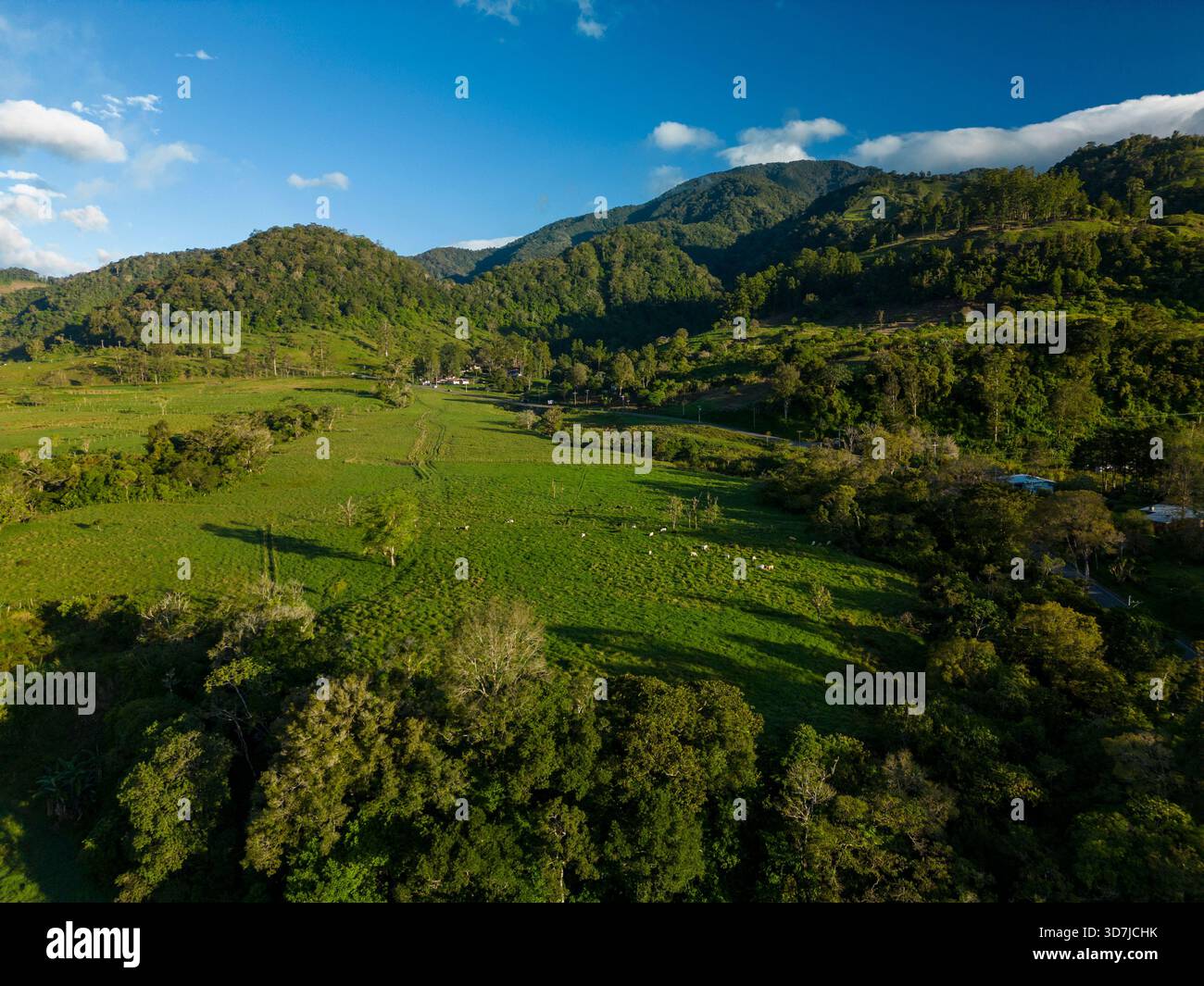Aerial view of a beef cattle farm on sustainable mountain farm in ...
