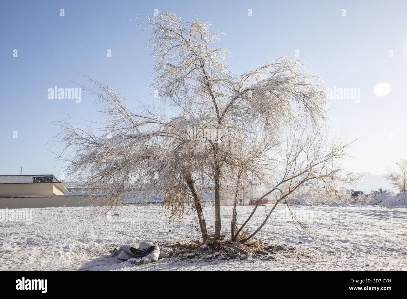 Snow scenery in Urumqi City, northwest China's Xinjiang Uygur ...