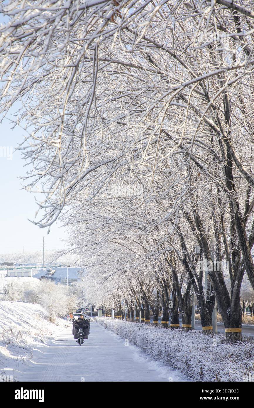 Snow scenery in Urumqi City, northwest China's Xinjiang Uygur ...