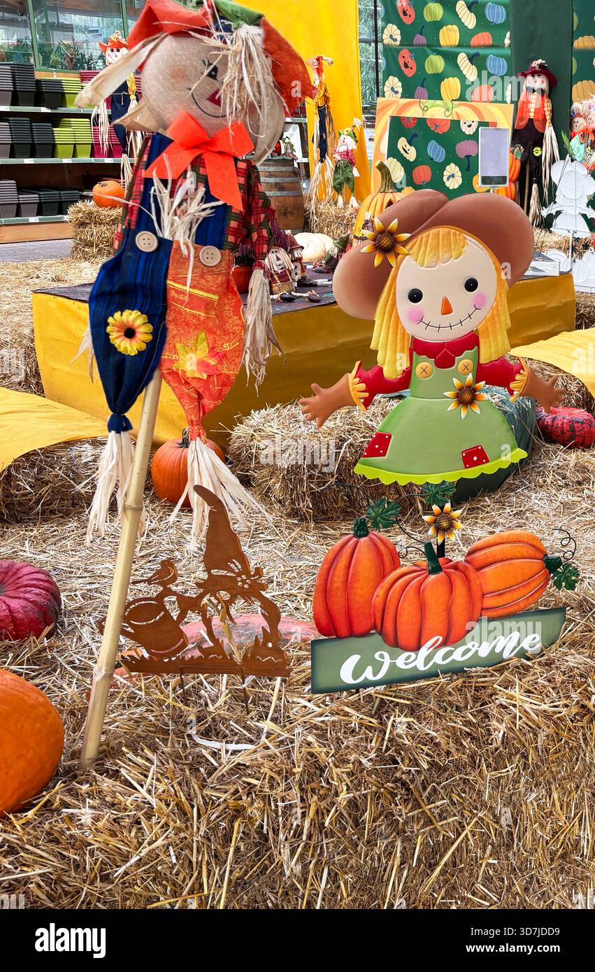 Scarecrow themed decorations hi-res stock photography and images - Alamy