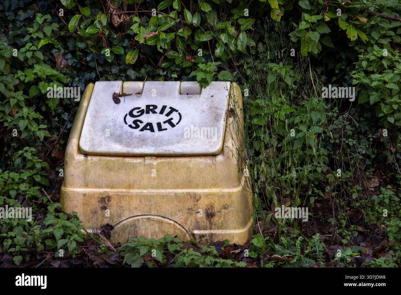 Outdoor yellow grit salt bin surrounded by overgrown vegetation and ...