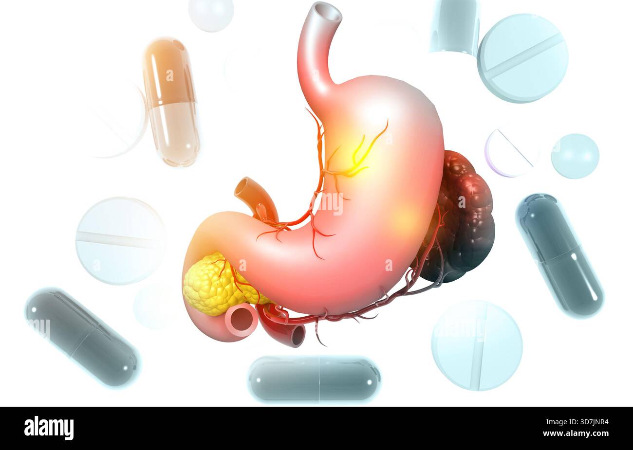 Human stomach anatomy with medicine pills. science background. 3d ...