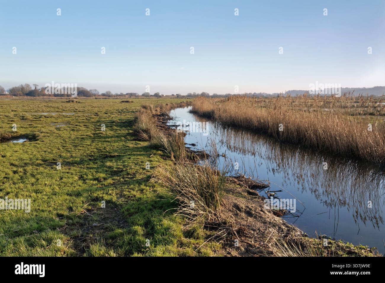 Rspb exminster marshes hi-res stock photography and images - Alamy