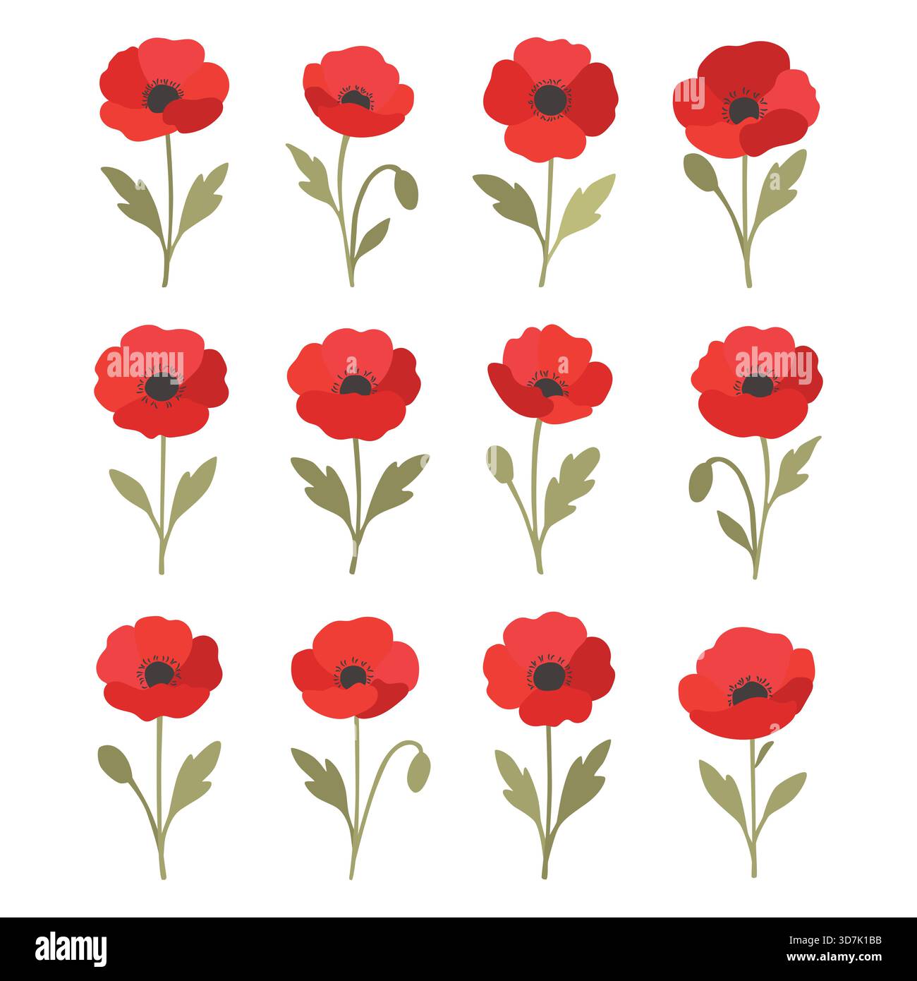 Flowers garden poppies in Stock Vector Images - Alamy