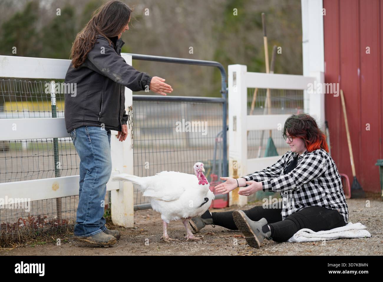 Ellie Laks, left, tries to guide a turkey into the arms of Jordan ...
