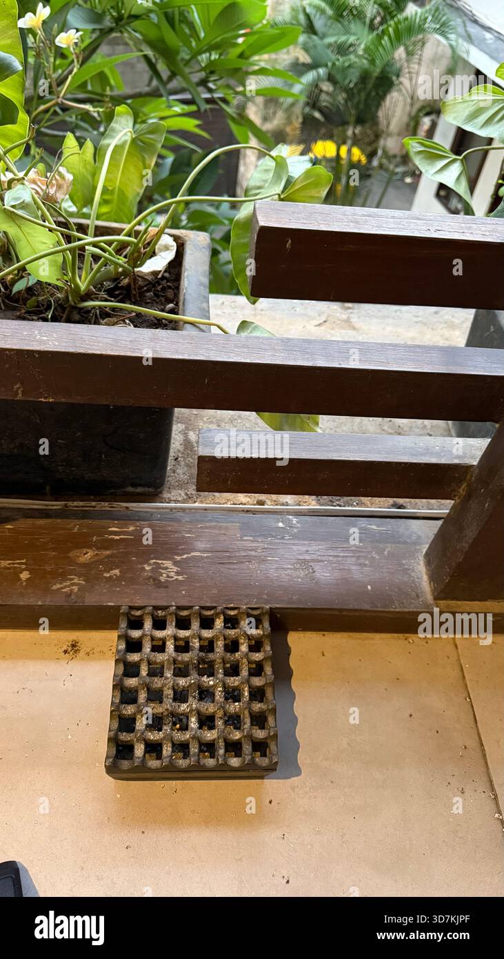 Balcony Scene with Plant, Wooden Railing, and Ashtray on Concrete Floor ...