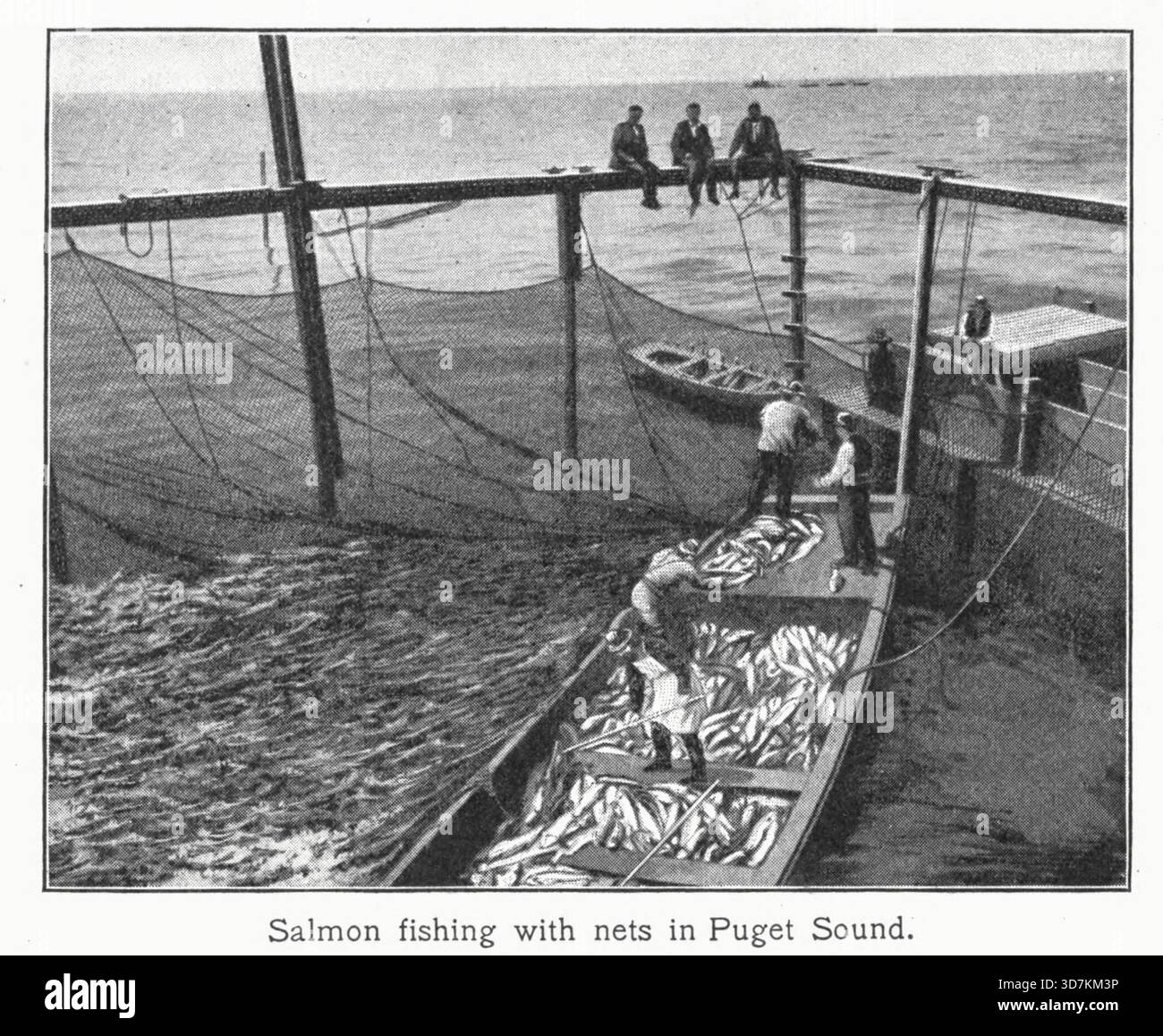 Salmon fishing with nets in Puget Sound. from Foods : or, How the world ...