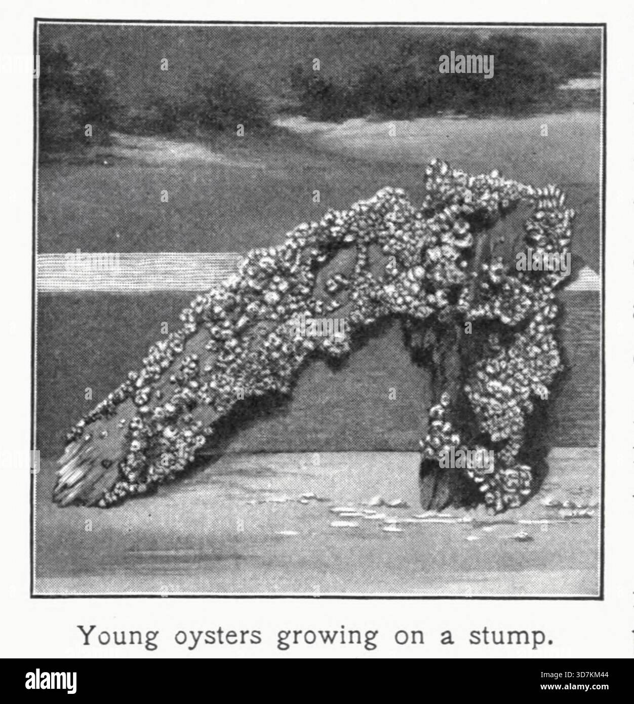 Frank river Cut Out Stock Images & Pictures - Alamy