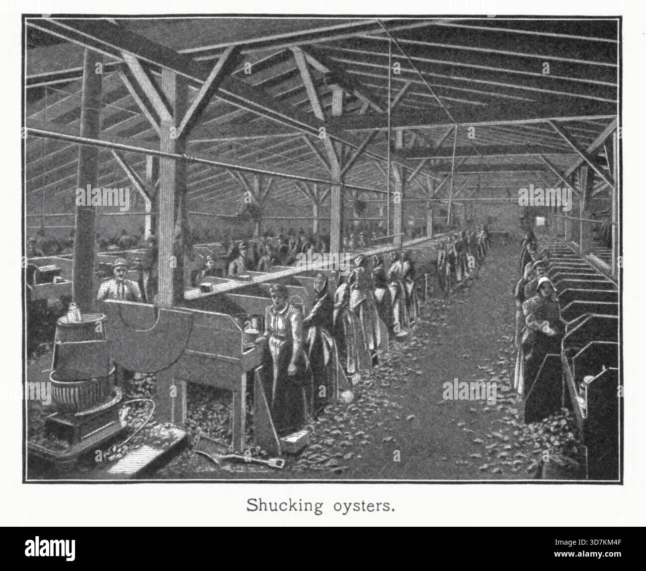 1855 1924 Cut Out Stock Images & Pictures - Alamy