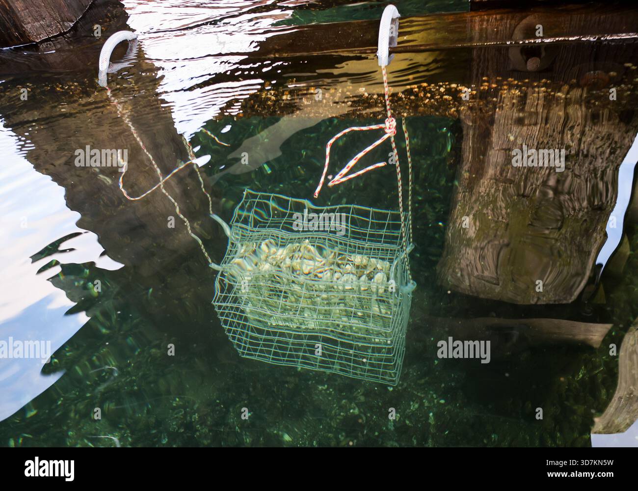 26 November 2025, Schleswig-Holstein, Eckernförde: Steel cages, their ...