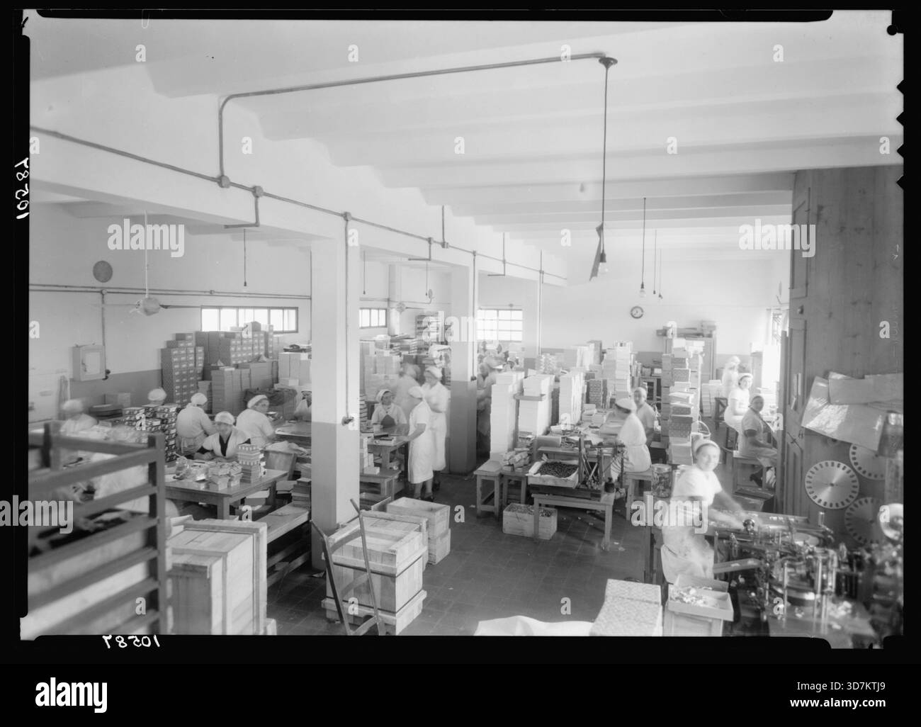 General view of packing department The 'Elite' chocolate factory Ramat ...