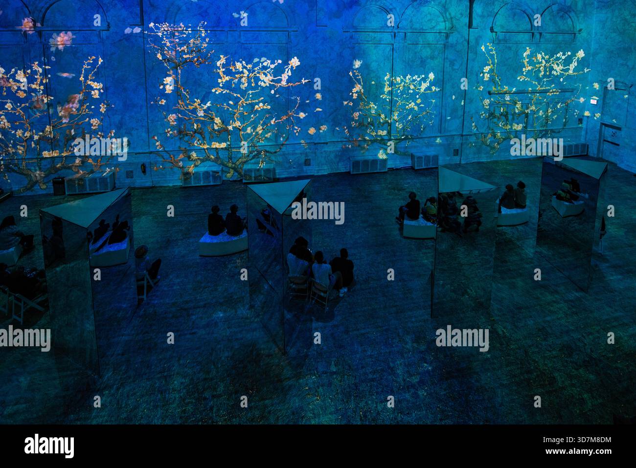 Color view of Immersive Van Gogh exhibition in Chicago — visitors ...
