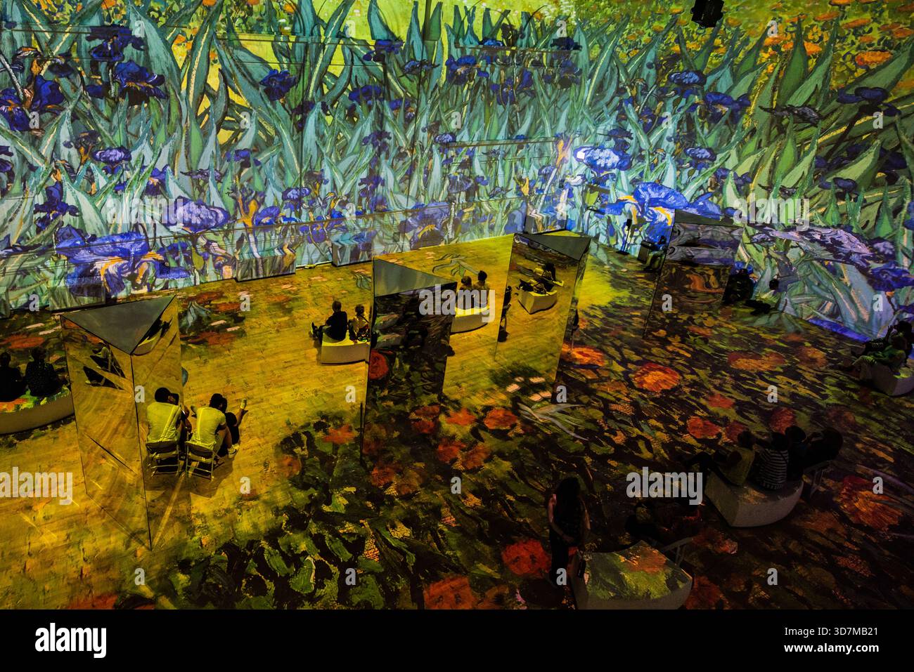 Color view of Immersive Van Gogh exhibition in Chicago — visitors ...