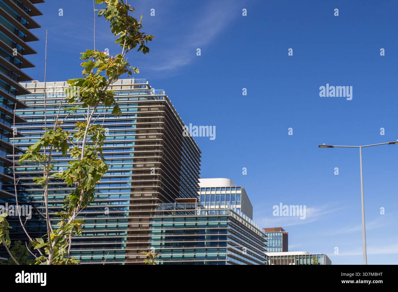 Modern office building facades reflecting blue sky with green foliage ...