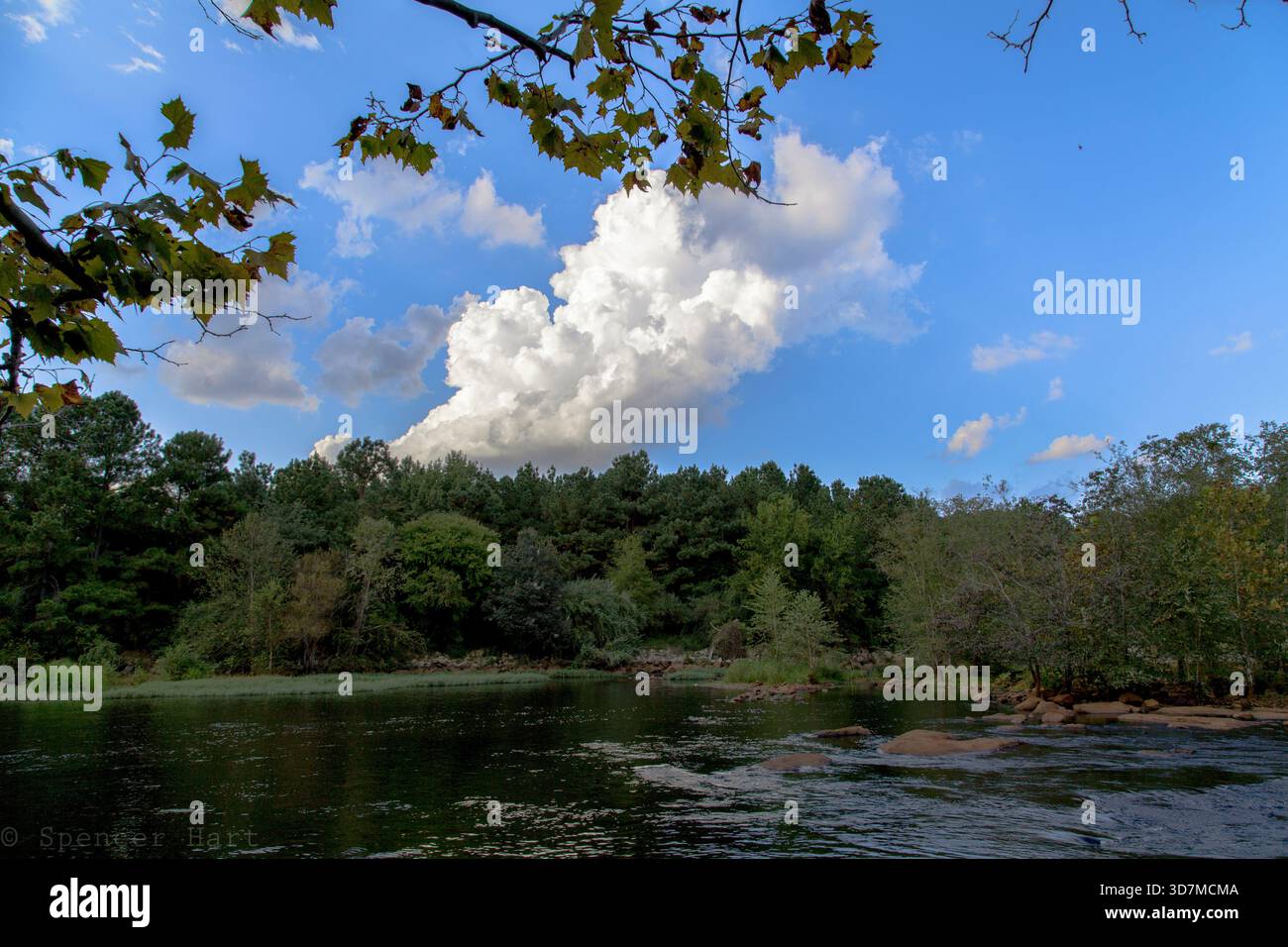 Neuse river trail hi-res stock photography and images - Alamy