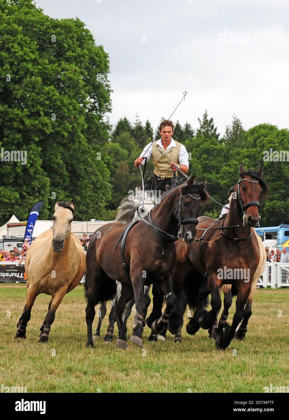 Ben Atkinson and his horses at the New Forest Show Stock Photo - Alamy