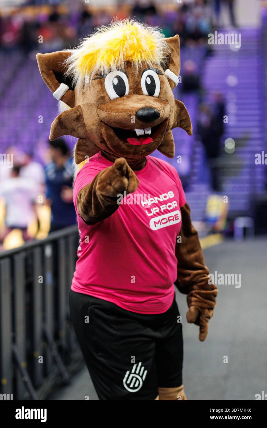 WM Maskottchen Hoernchen Hanni, Spanien vs Paraguay, Handball, IHF ...