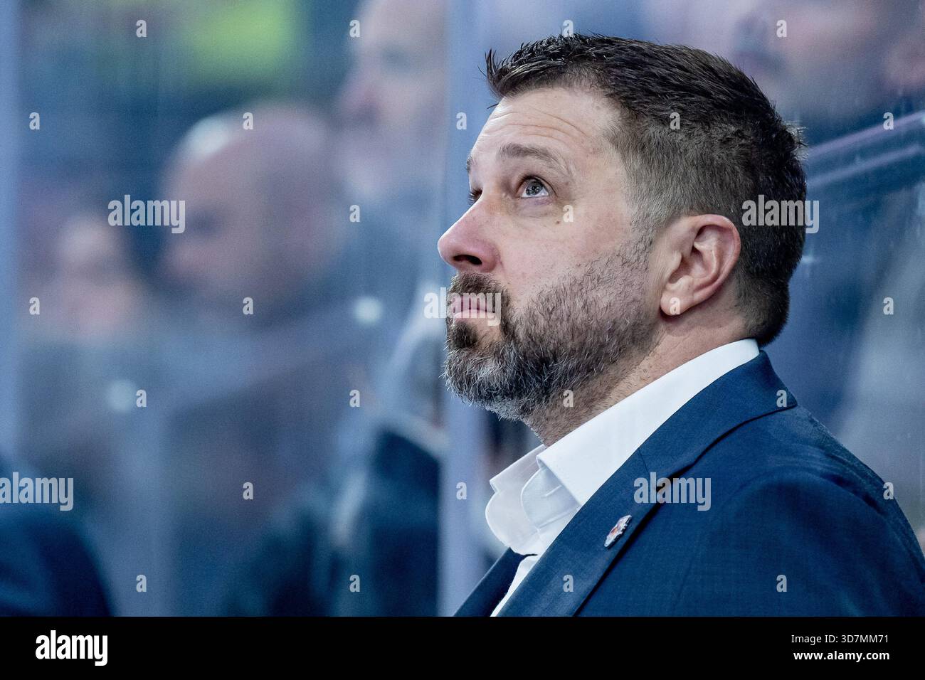 Oliver David (Head Coach, EHC Red Bull Munich) / Portrait / Portrait ...