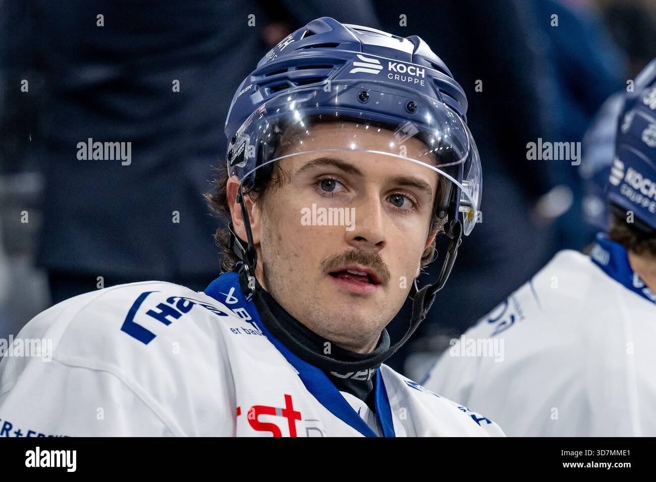 Nick Halloran (Straubing Tigers, #71) / Portrait / Portrait GER, EHC ...