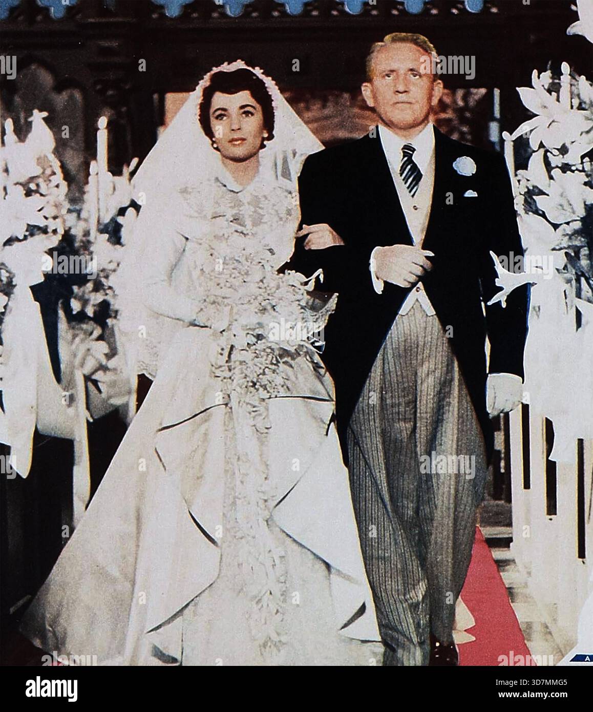 FATHER OF THE BRIDE 1950 MGM film with Elizabeth Taylor and Spencer ...