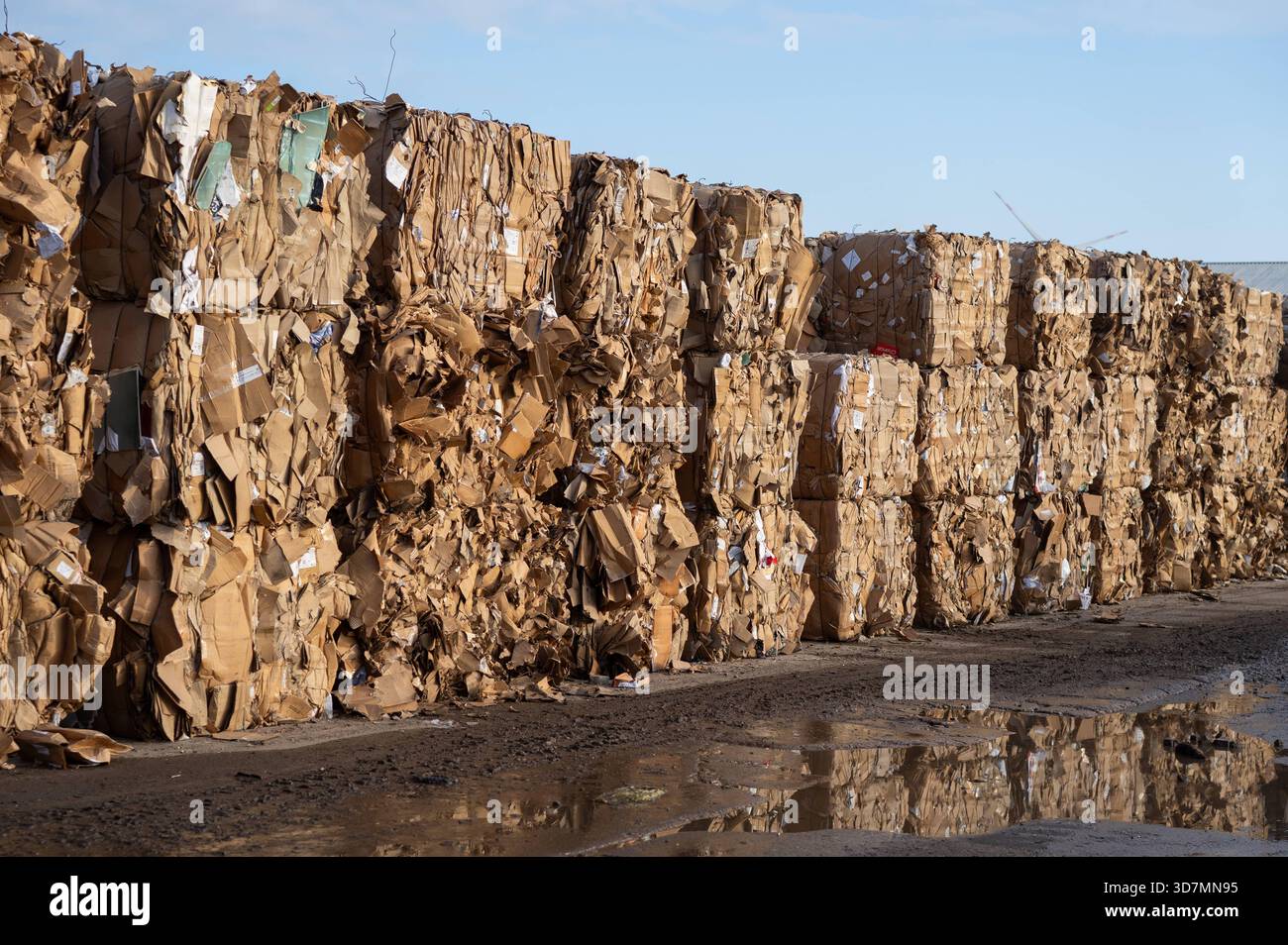 Altpapier, Kartonballen, Papierrecycling, Recycling, Abfallwirtschaft ...