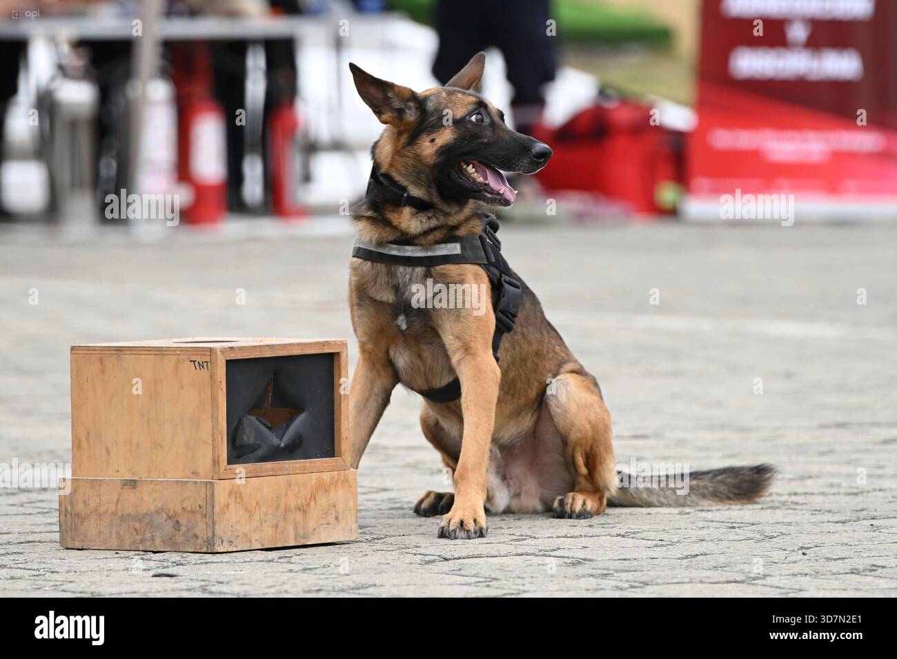 MANTA POLICE POLICE EXPLOSIVES Manta, November 26, 2025 The National ...