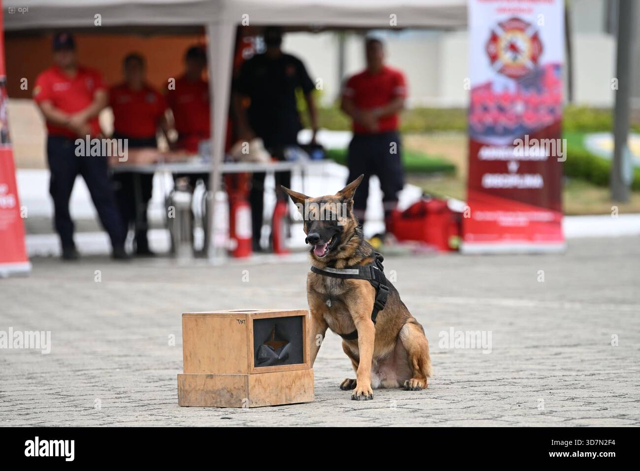 MANTA POLICIA EXPLOSIVOS Manta, November 26, 2025 The National Police ...