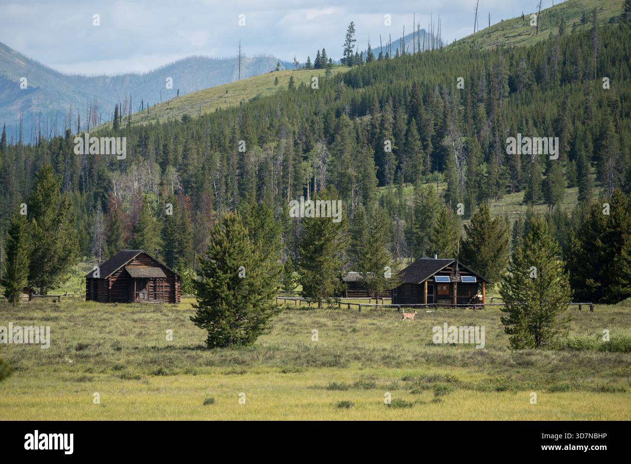 Gates Park Guard Station, Bob Marshall Wilderness, Montana, USA Stock ...