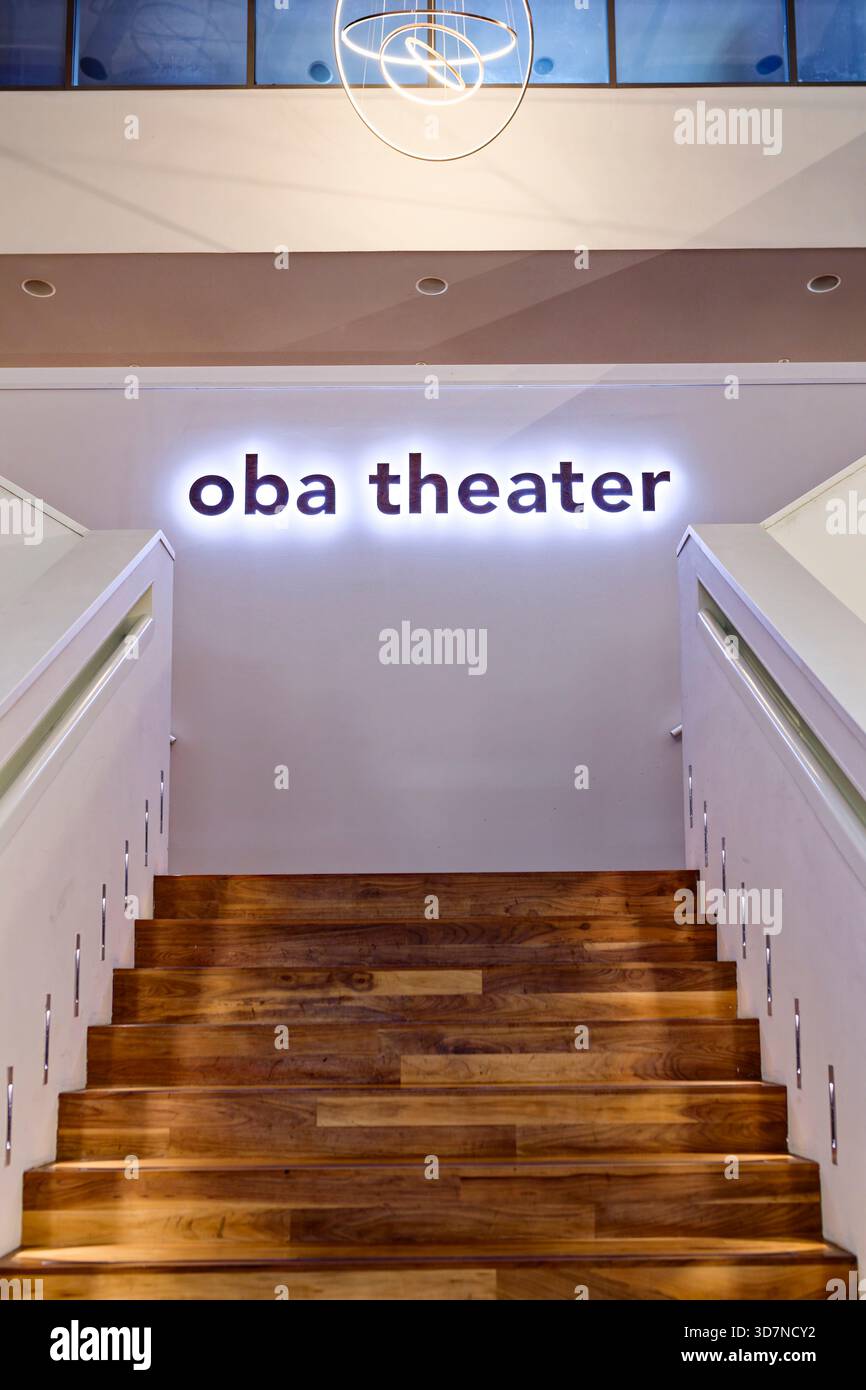 Wooden stairs descending to OBA theater, Amsterdam Central Library ...