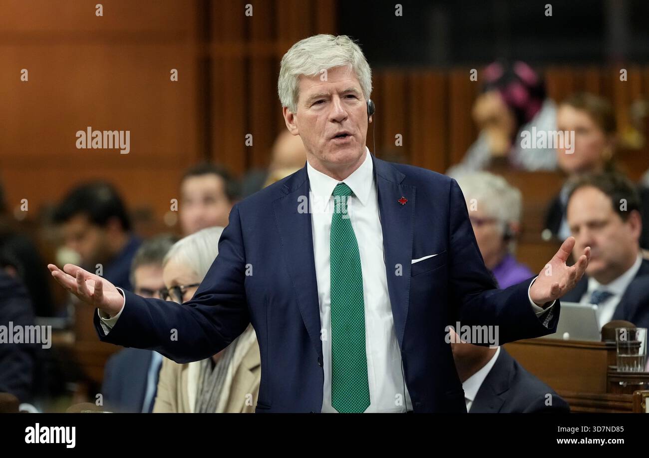 Minister of Energy and Natural Resources Tim Hodgson rises during ...